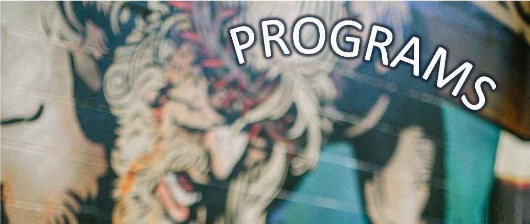 programs hero – RAISE28